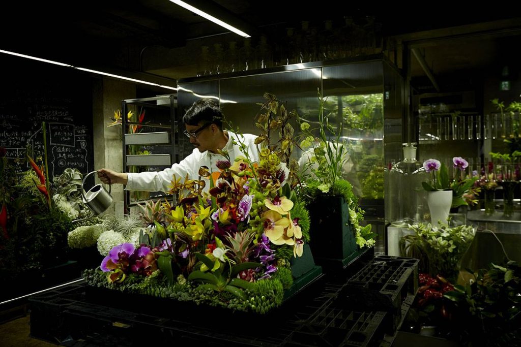 ≡ 6 Impressive Projects That Turn Botany Into Art Brain Berries