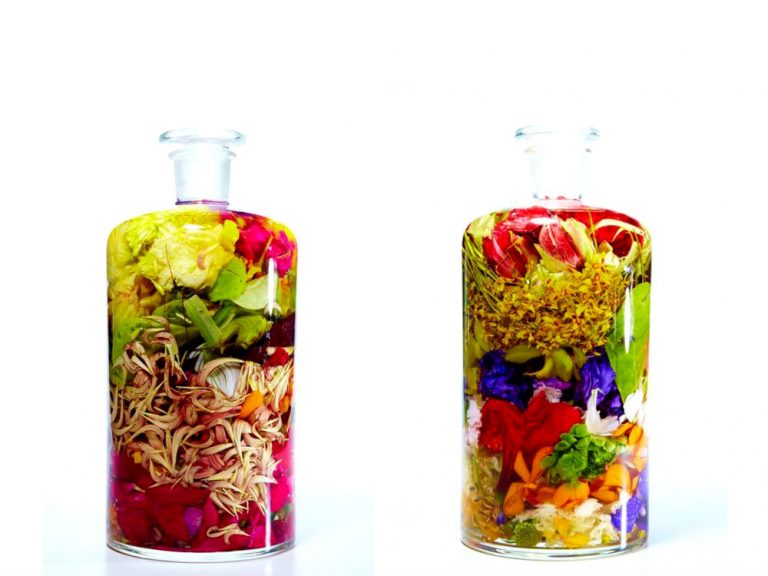 6 Impressive Projects That Turn Botany Into Art