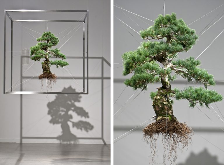 6 Impressive Projects That Turn Botany Into Art