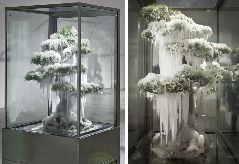 6 Impressive Projects That Turn Botany Into Art