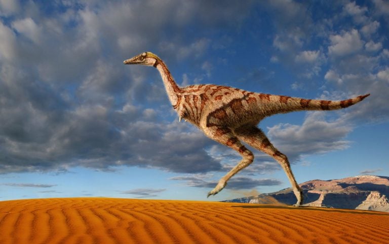 12 Obscure Dinosaurs You’ve Never Heard Of