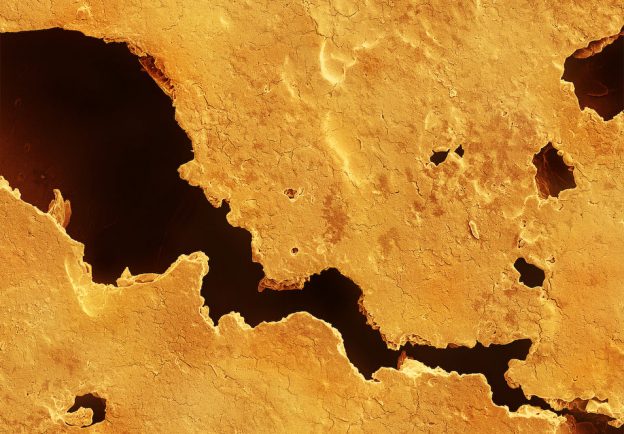 Foods Under The Microscope