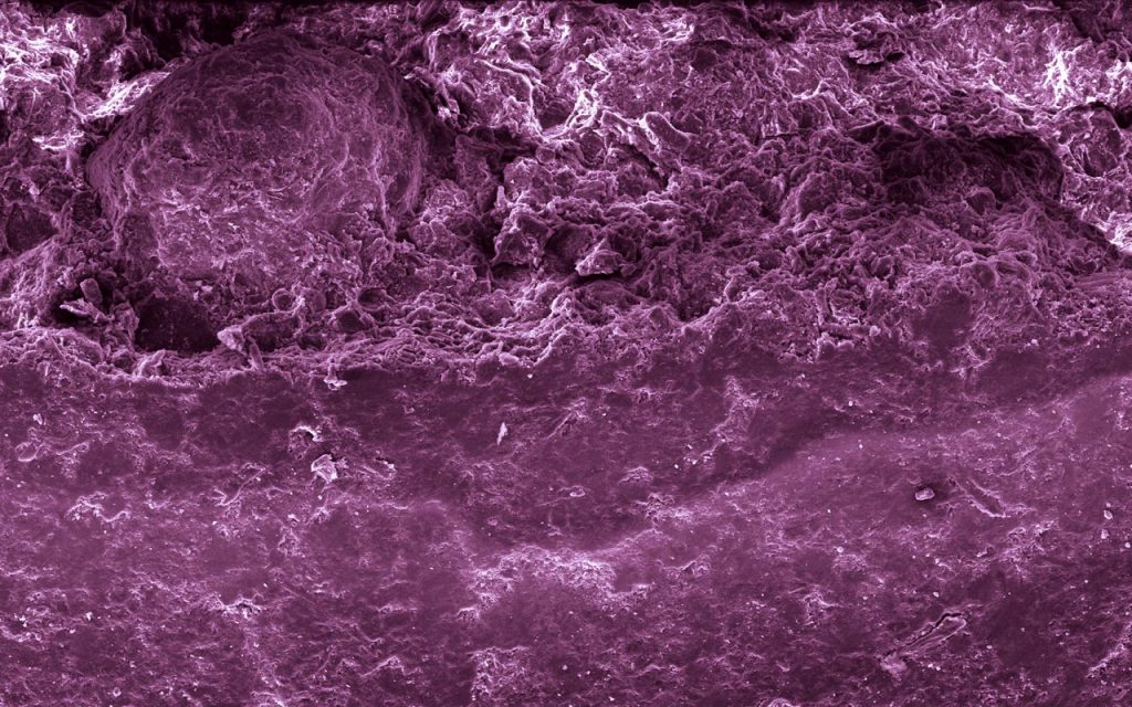 Foods Under The Microscope