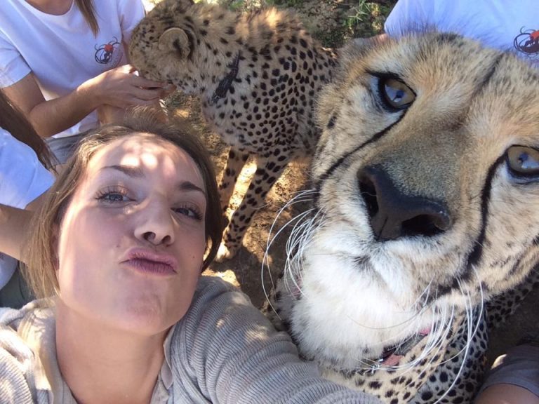 Snapping Selfies with Wild Animals Is a New Trend