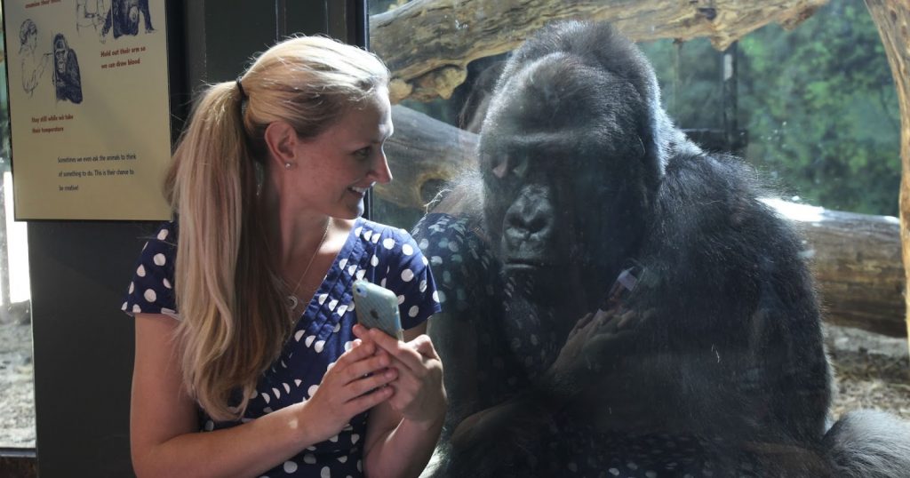 ≡ These Amazing Animals Look So Much Like Humans! Brain Berries