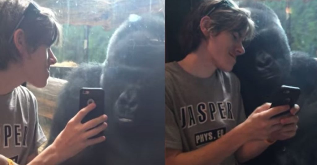 These Amazing Animals Look So Much Like Humans!