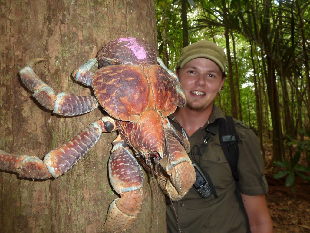 ≡ 15 of The Most Terrifying Animals You Never Knew About Brain Berries