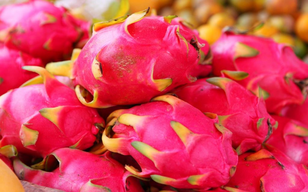 ≡ 10 Weirdest Delicious-Looking Fruits Brain Berries