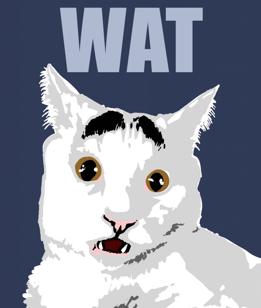 ≡ 15 Most Famous Internet Cats Brain Berries