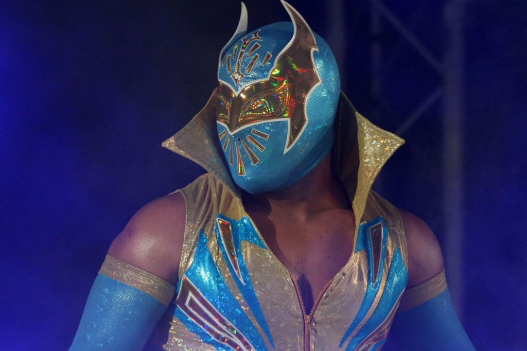 ≡ The 5 Most Daredevil Mexican Pro-Wrestlers Brain Berries