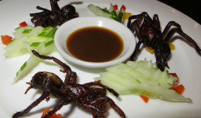 ≡ 10 Ickiest Foods that Will Make You Gag Brain Berries