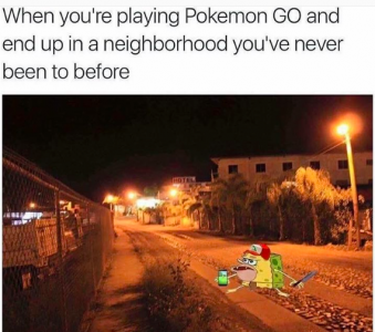 ≡ 25 Funniest Pokemon GO Memes Brain Berries