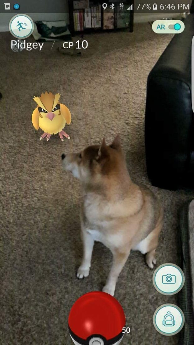 ≡ 25 Funniest Pokemon GO Memes Brain Berries