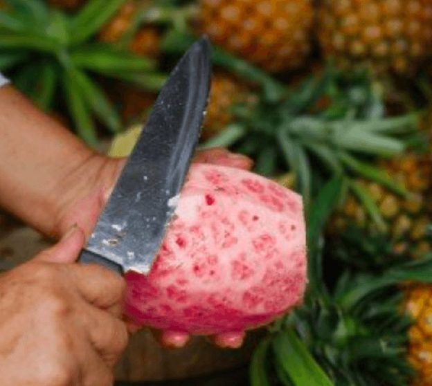 Pink Pineapples Exist And You Didn’t Tell Me About It First