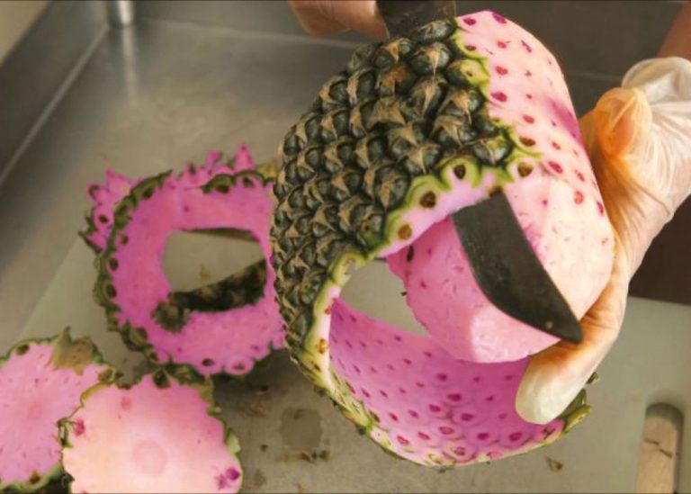 Pink Pineapples Exist And You Didn’t Tell Me About It First