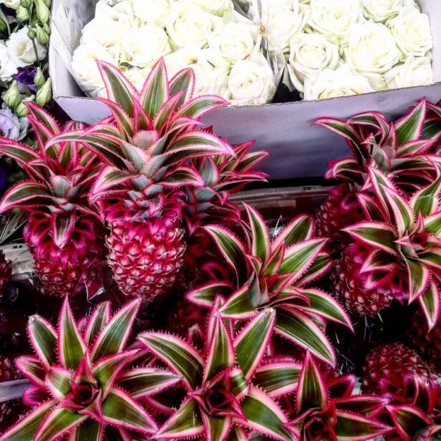 Pink Pineapples Exist And You Didn’t Tell Me About It First