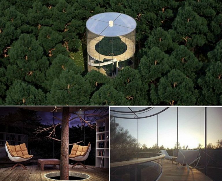 Structures And A Tunnel Built Around Trees