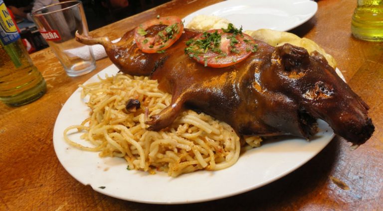 ≡ ¿Te atreves? Las 10 comidas más extrañas de América Latina Brain Berries