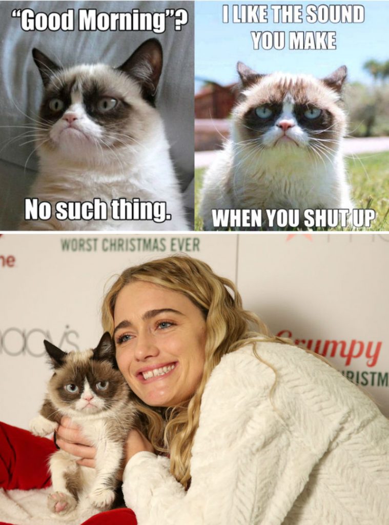 Here’s How Internet Meme Stars Look Like IRL