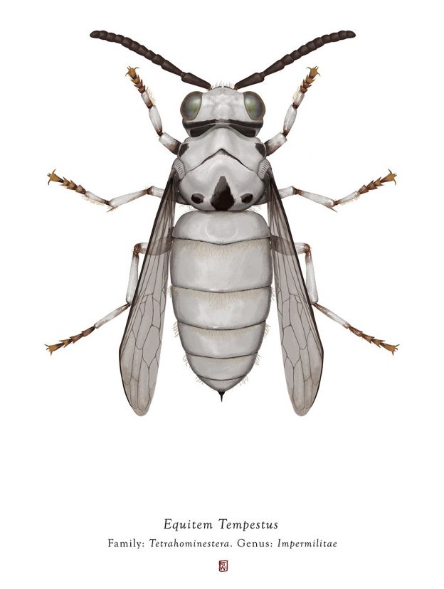 ≡ Characters From Star Wars Imagined As Bugs Brain Berries