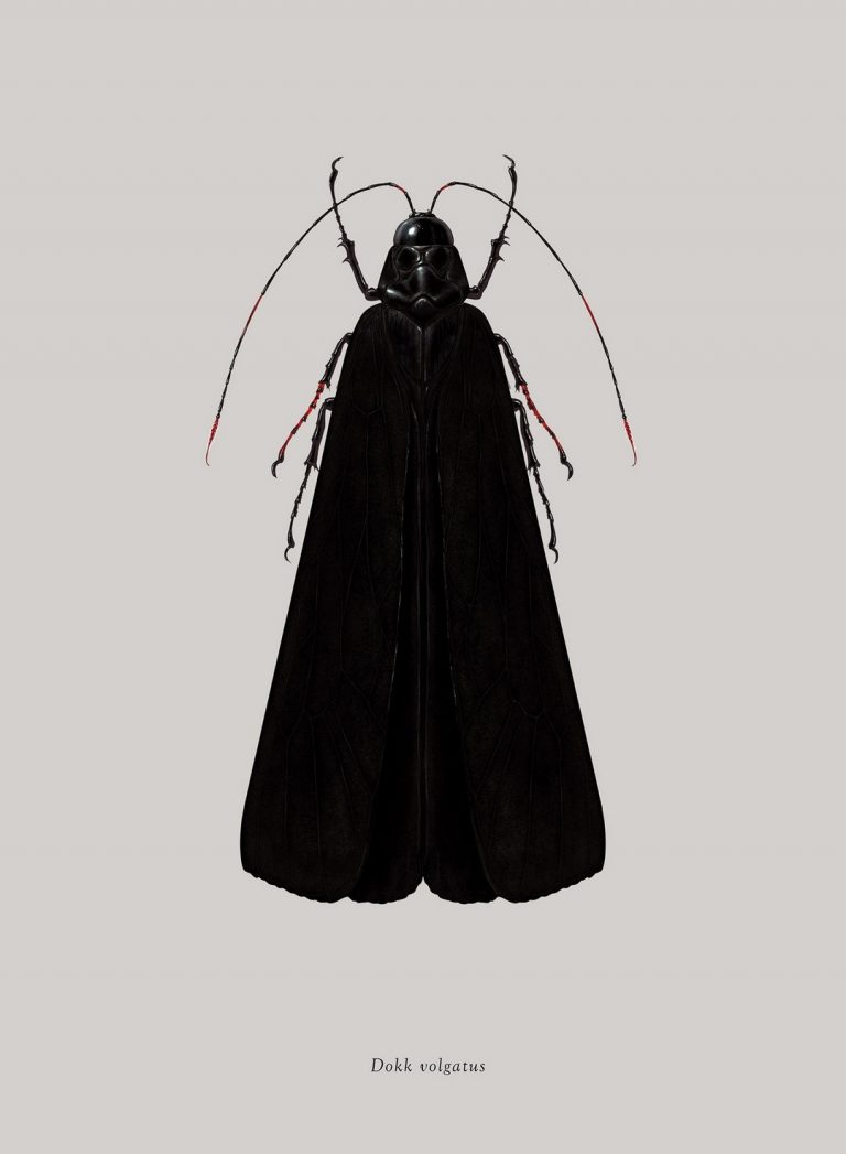 ≡ Characters From Star Wars Imagined As Bugs Brain Berries