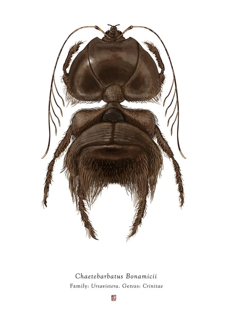 ≡ Characters From Star Wars Imagined As Bugs Brain Berries