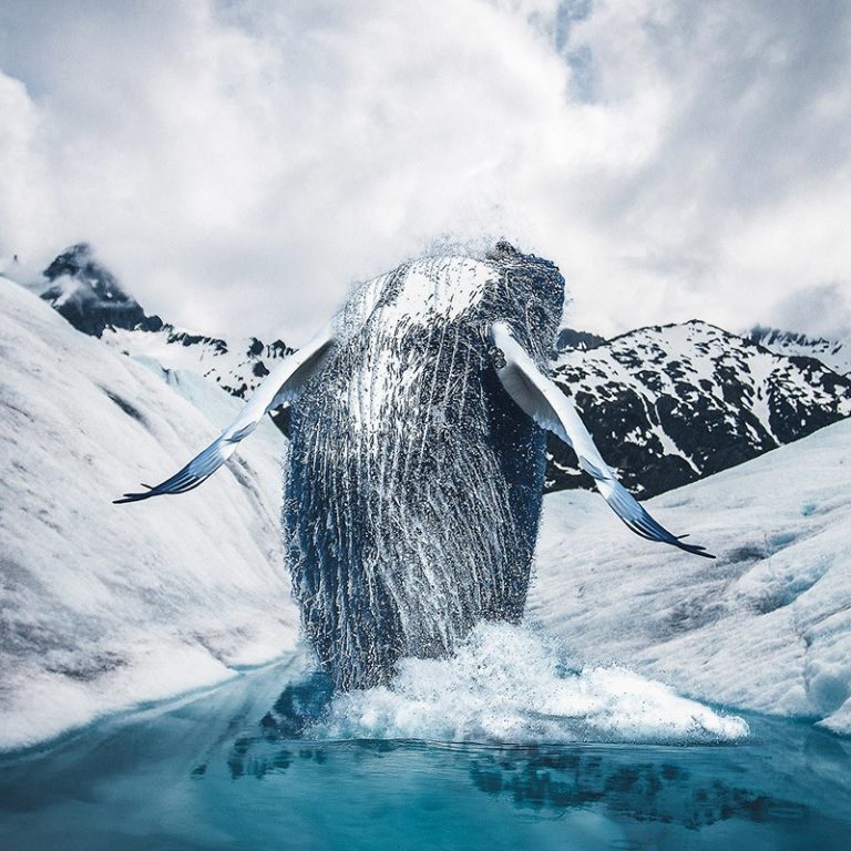 ≡ Justin Peters Does Amazing Things With Photoshop Brain Berries