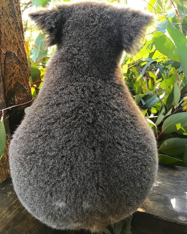 18 Ways to Spice Up Your Boring Vacation Photos