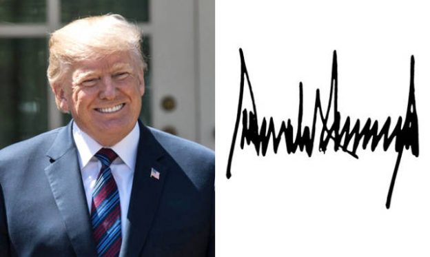 ≡ 41 Celebrities With Really Cool Signatures Brain Berries