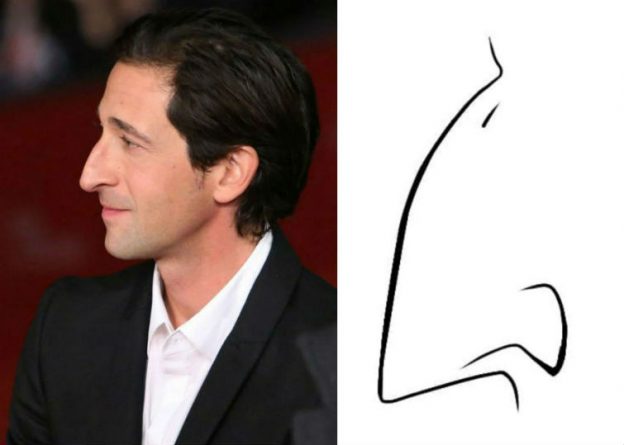 ≡ 7 Nose Shapes That Reveal Secrets about Your Personality Brain Berries