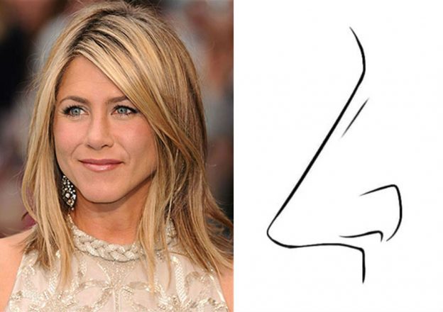 ≡ 7 Nose Shapes That Reveal Secrets about Your Personality Brain Berries