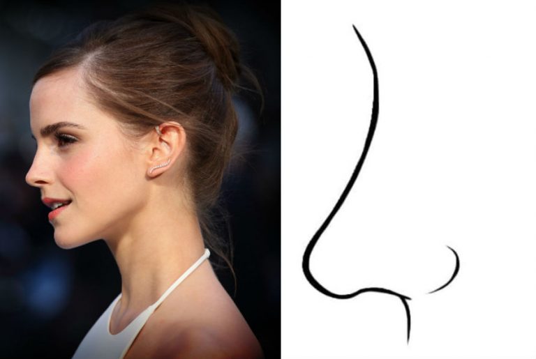 ≡ 7 Nose Shapes That Reveal Secrets about Your Personality Brain Berries
