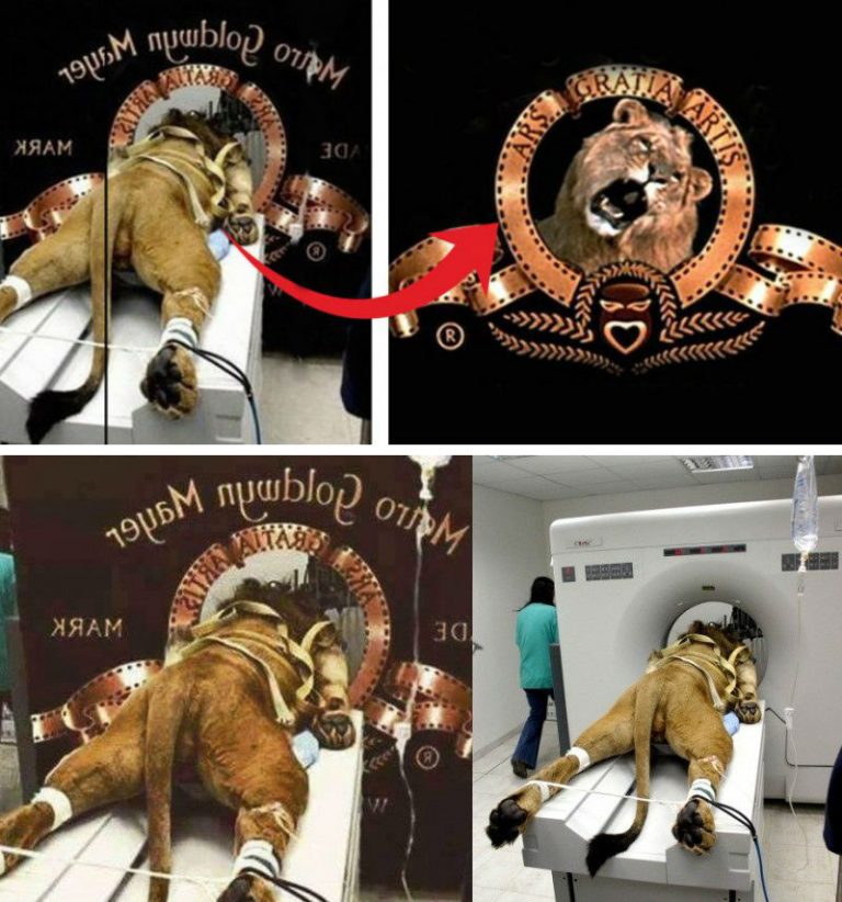 14 Viral Images That Are Actually Fake