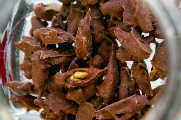 ≡ 10 Strangest Desserts from Around the Globe Brain Berries