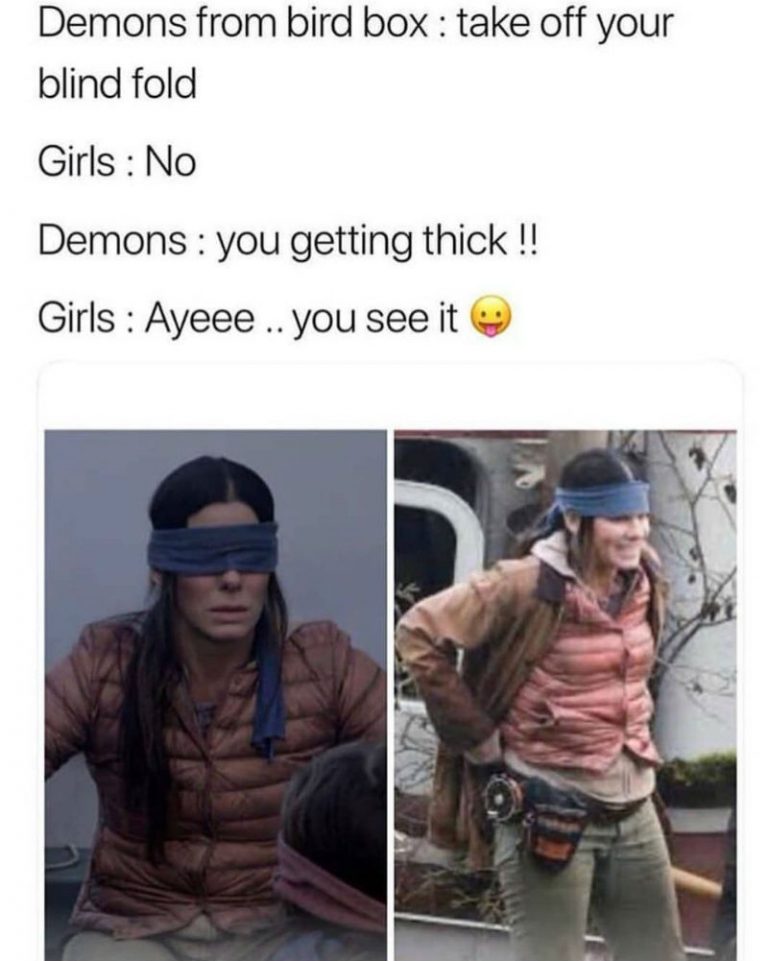 Best Bird Box Memes