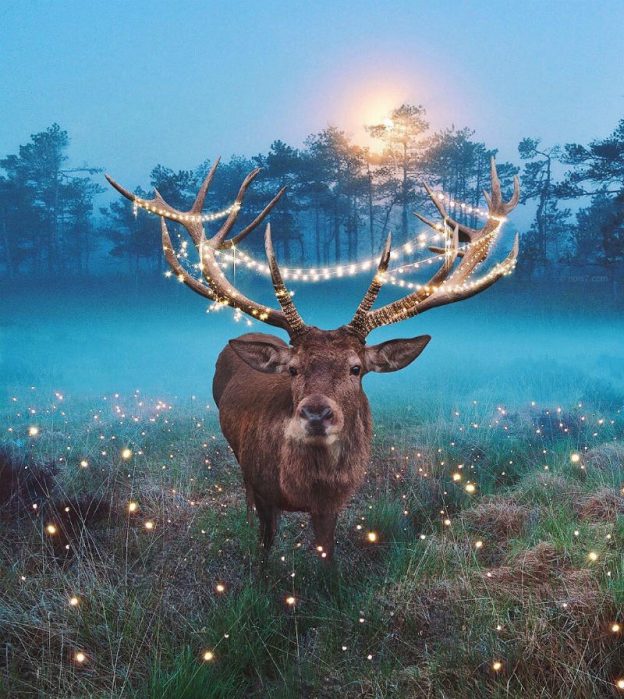 ≡ Artist Transforms Photos of Nature Into Magical Masterpieces Brain ...