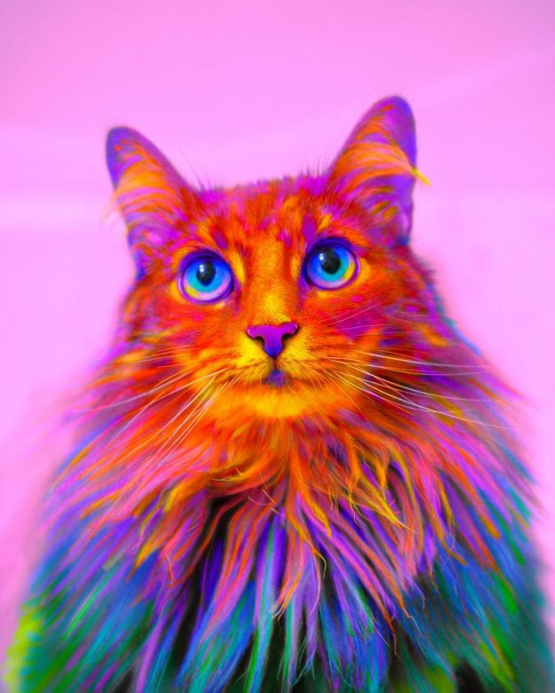 ≡ Stunning Rainbow Photo Manipulations by Ramzy Brain Berries