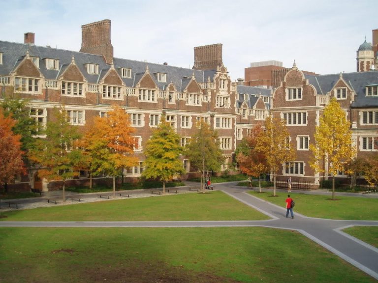 ≡ 7 Richest Universities in the World Brain Berries