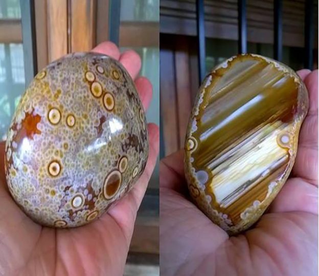 14 Incredibly Cool Pictures Of Unusual Objects Cut In Half