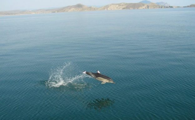 10 of the Dirtiest Seas in the World