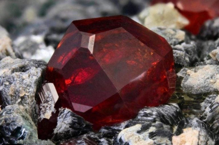 ≡ Top 9 Rarest and Most Valuable Items In The World Brain Berries