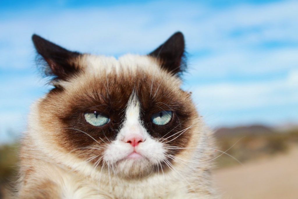 8 Stereotypes About Russians That Drive Them Nuts