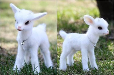 Super Realistic And Extra Cute Felt Animals By Russian Artist