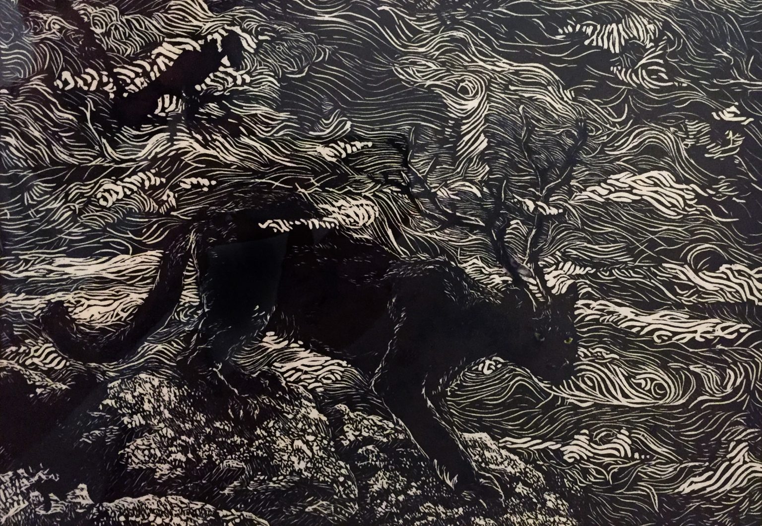 8 Mythical Creatures That Just Might Actually Exist