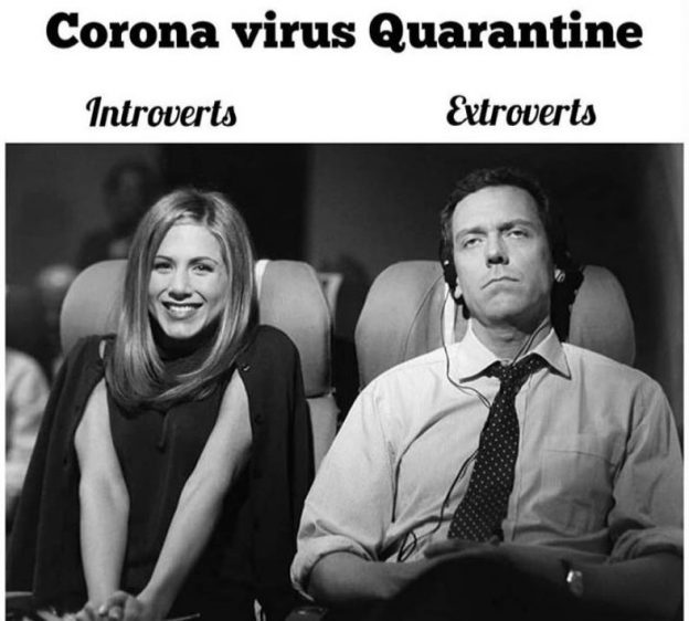 15 Relatable FRIENDS on Quarantine Memes