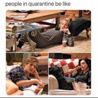 ≡ 15 Relatable FRIENDS on Quarantine Memes Brain Berries