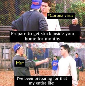 15 Relatable FRIENDS on Quarantine Memes