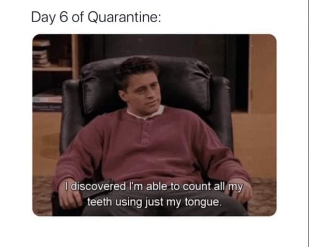 ≡ 15 Relatable FRIENDS on Quarantine Memes Brain Berries