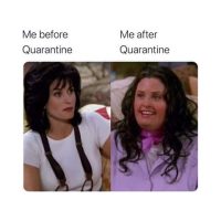 ≡ 15 Relatable FRIENDS on Quarantine Memes Brain Berries