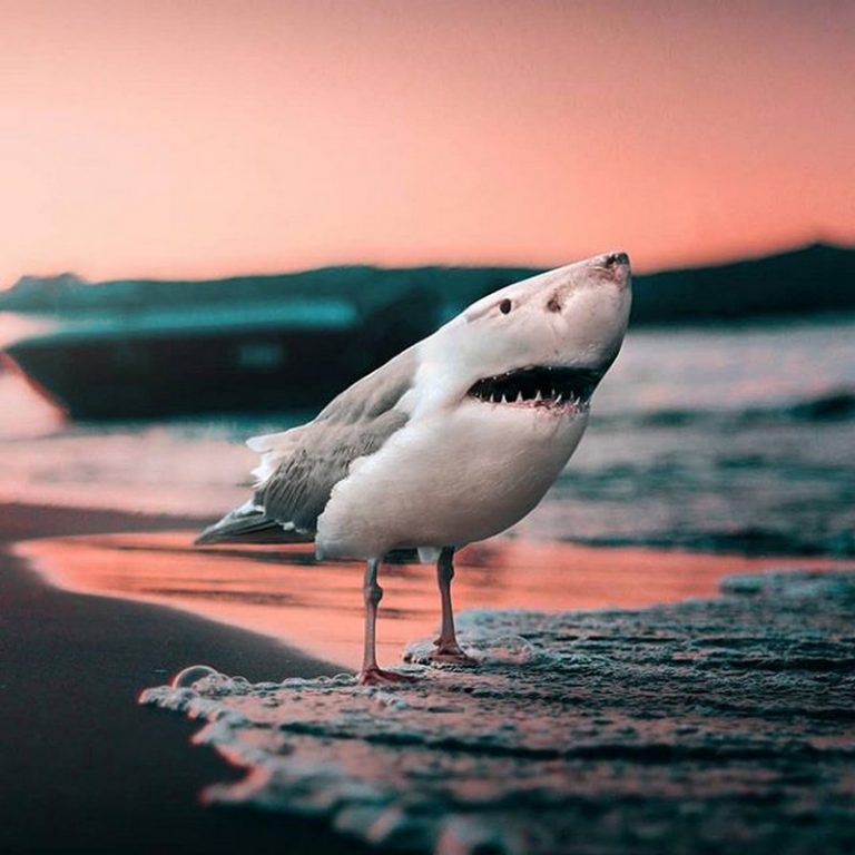 ≡ Ronald Ong Photoshops Animals To Make Them Weird, Because Why Not ...